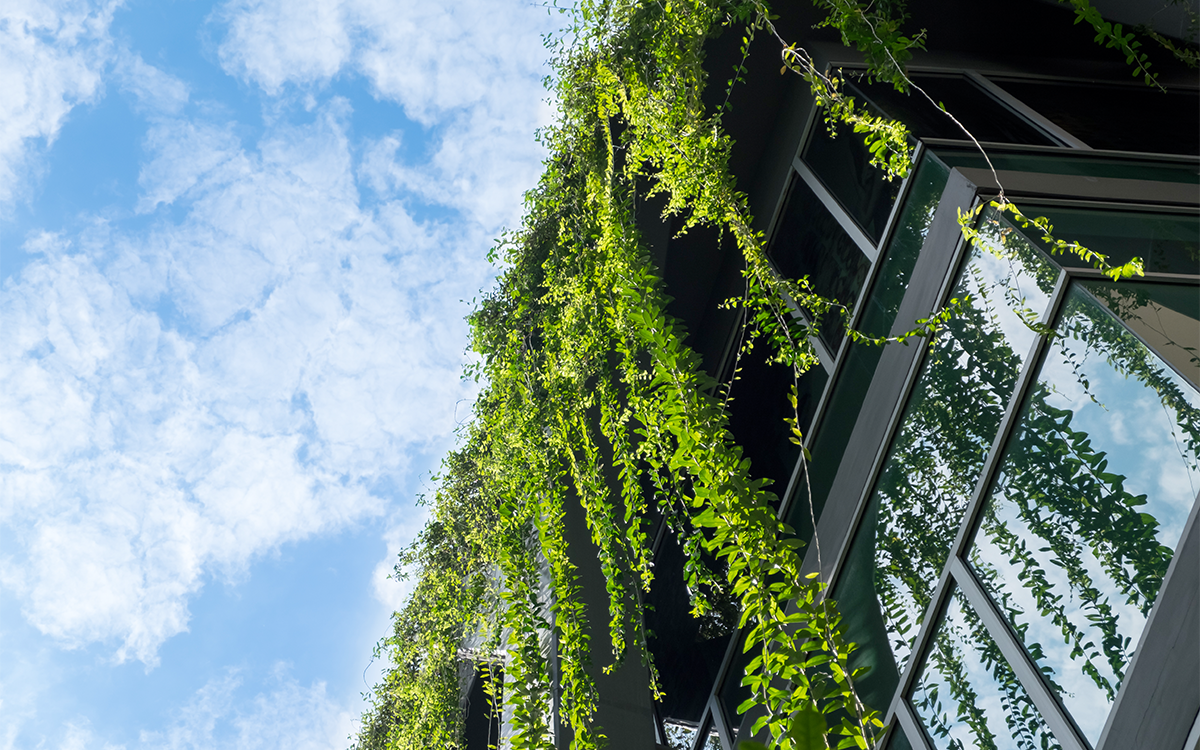 Sustainable Supply Chain Finance Sustainable Financing Of Supply